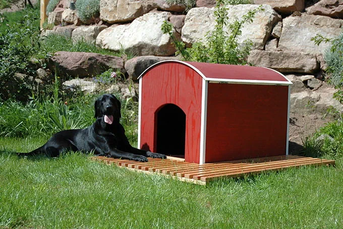 Build your own dog kennel | Construction plan to build a dog kennel
